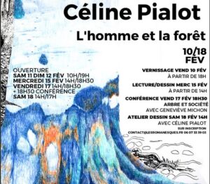 Filature du Mazel. Autour du travail de Céline Pialot sur la forêt ...