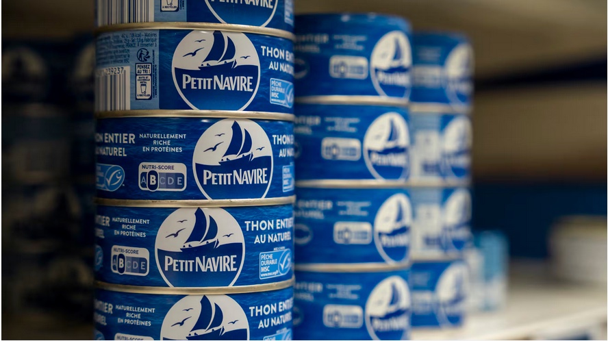 "Du poison dans le poisson" : deux ONG alertent sur la contamination du ...